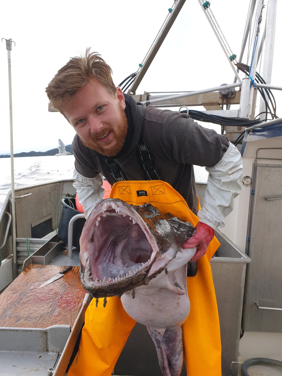 Tor the Fisherman | Learn Filleting and Cooking from a Professional ...