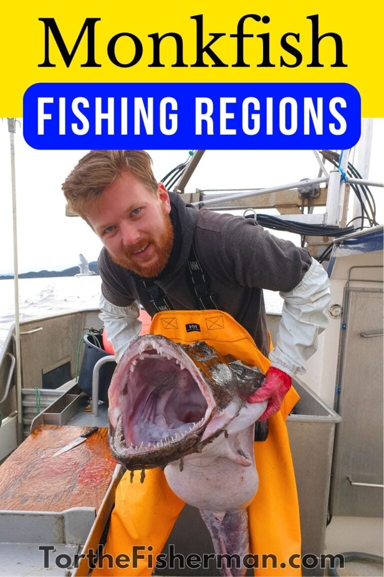 Monkfish Fishing Regions: Prime Locations for Catching the Sea’s “Poor ...