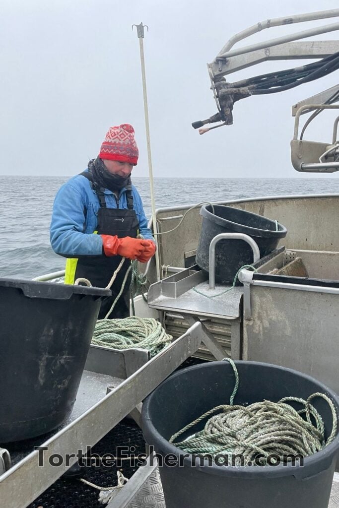 Monkfish Ecological Impact: Understanding the Species’ Role in Marine ...