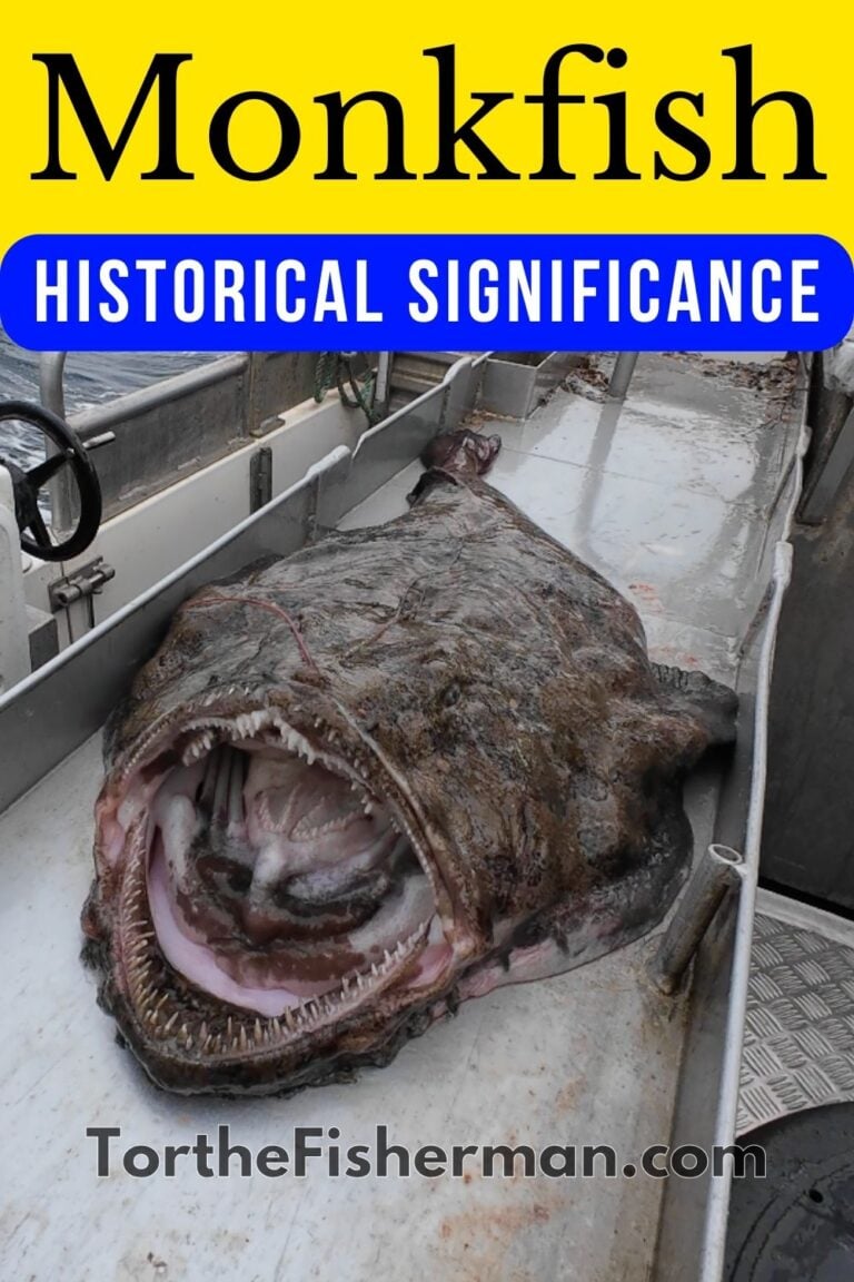 Historical Significance of Monkfish: Culinary and Cultural Impact ...